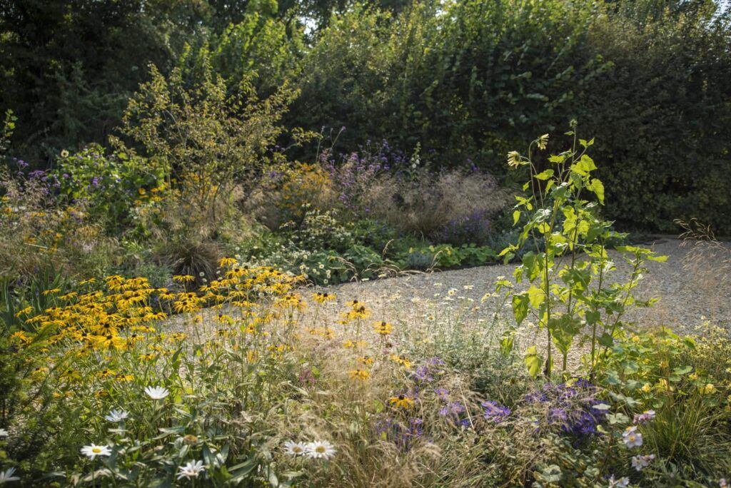 Large Tree Planting. What is a good size to choose for plants and trees ...